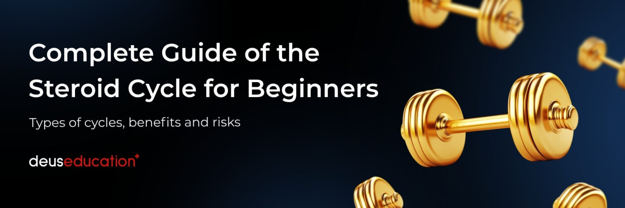 Complete Guide to the Steroid Cycle for Beginners